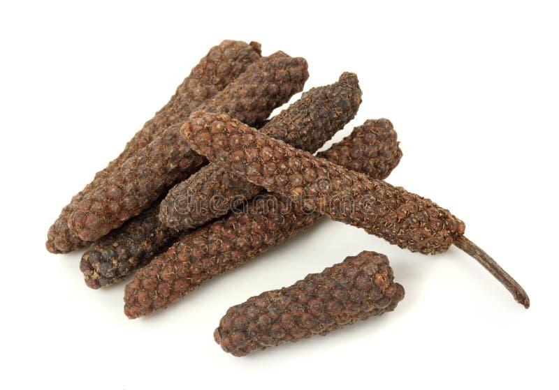 Long Pepper or Piper Longum Stock Photo - Image of brown, pepper: 6845002