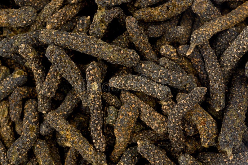 Long Pepper (Piper longum) stock photo. Image of dried - 44448160