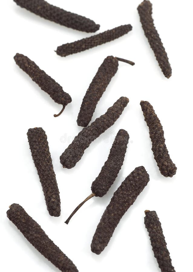 Long Pepper, Piper Longum, Berries Against White Background Stock Image ...