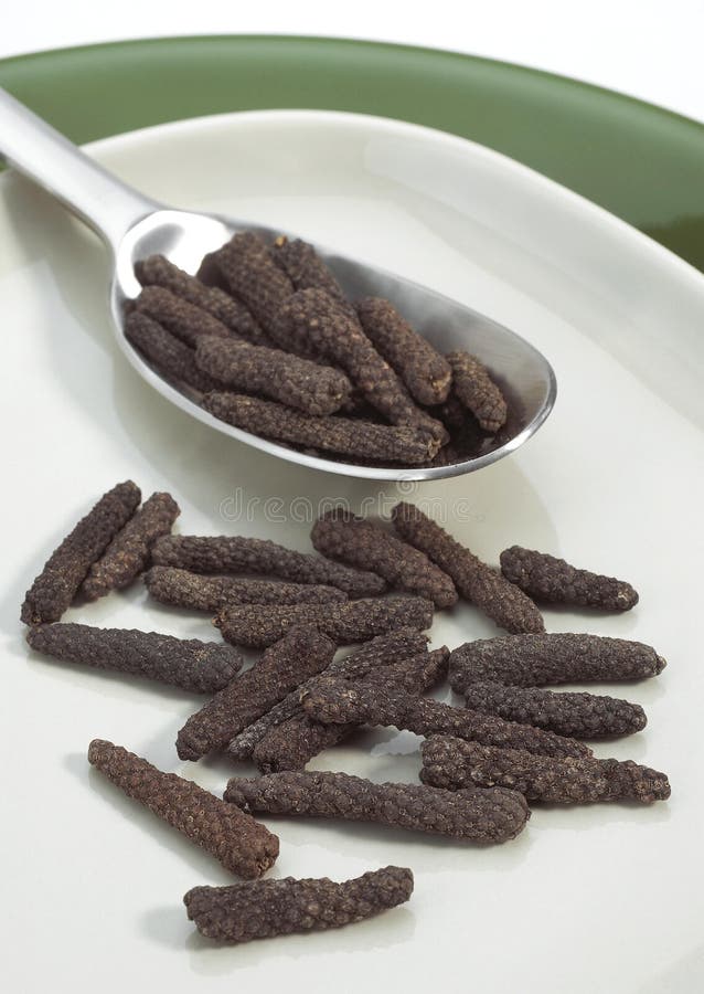 Long Pepper, Piper Longum, Berries Against White Background Stock Photo ...