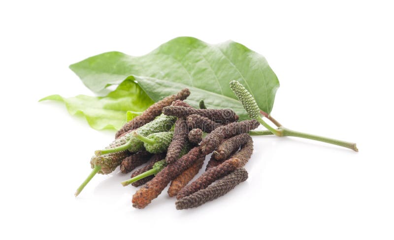 Jaborandi Tree Stock Photos - Free & Royalty-Free Stock Photos from ...