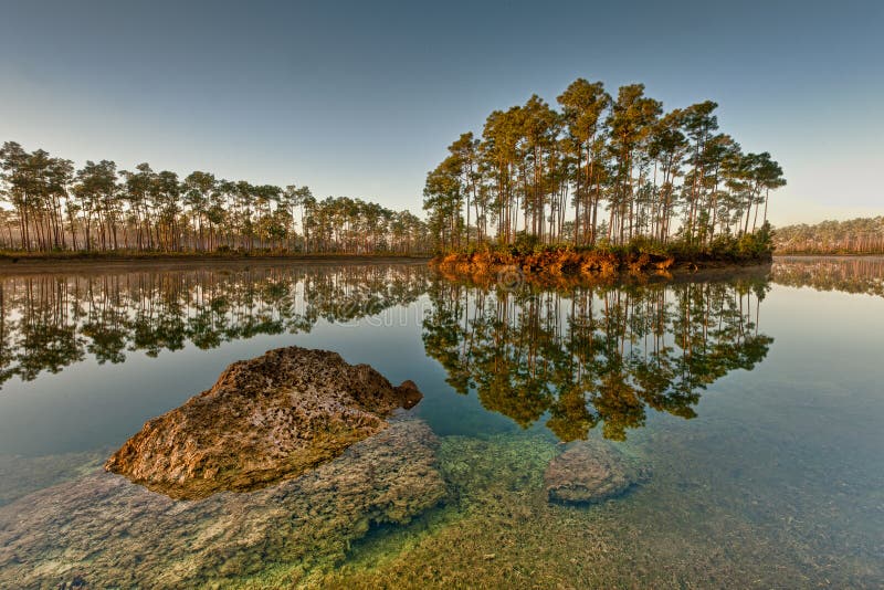 Long Pine Key Lake stock photo. Image of water, dawn - 23157430