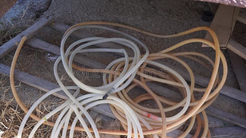 Long Plastic Water Hose, Used for Watering the Garden Stock Video ...