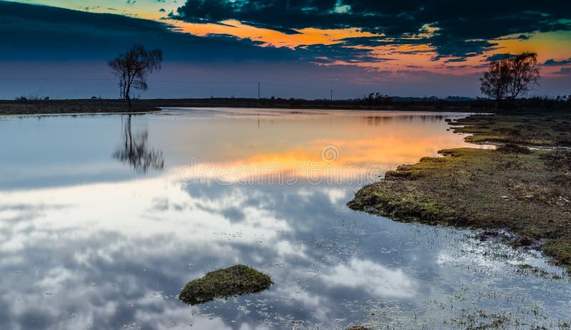 Long Pond sunset stock photo. Image of tree, pond, sunset - 39431708