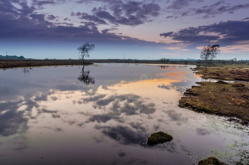 Long Pond sunset stock photo. Image of sunset, england - 39431712
