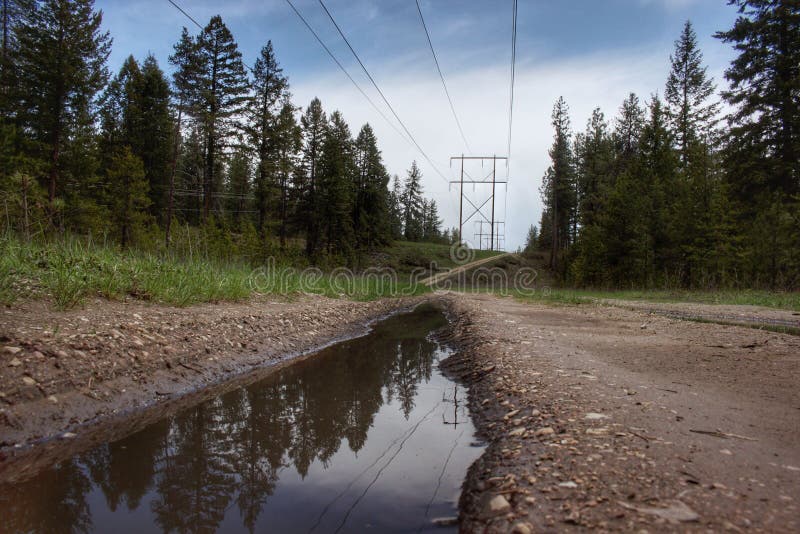 Long Puddle in the Countryside Reflecting the Tall, Dark Trees ...