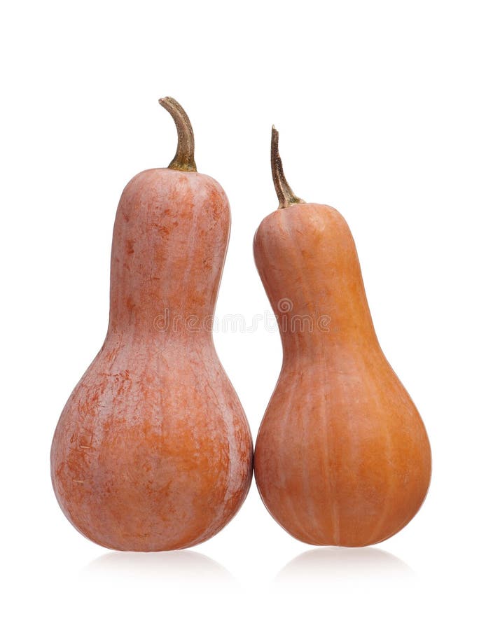 Long pumpkins stock image. Image of orange, gold, herbal - 43388225