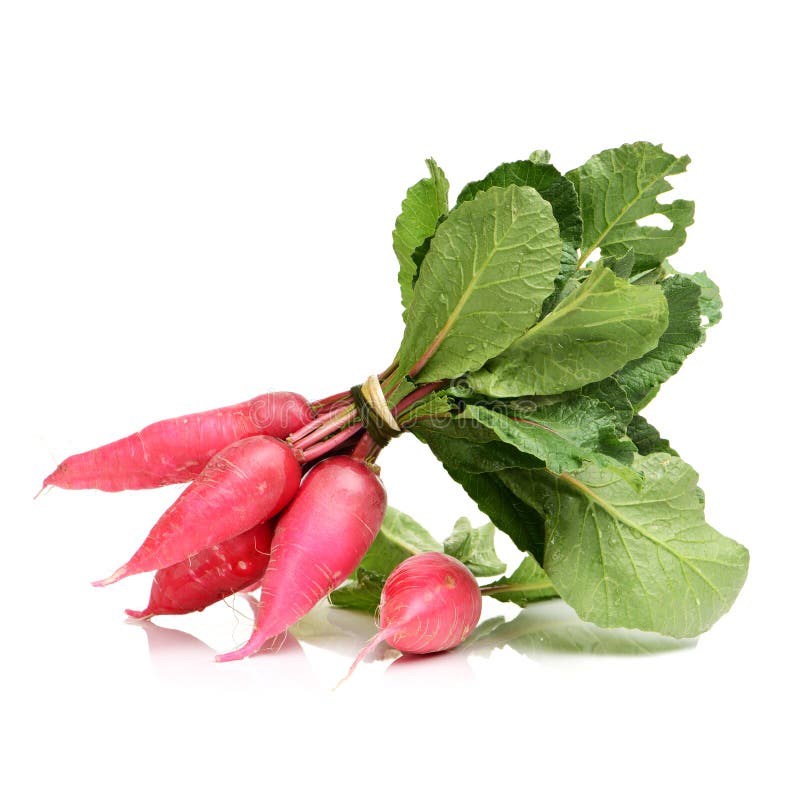 717 Photos de Long Radis Rouge - Photos de stock gratuites et libres de ...