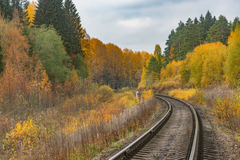 Long Railway Line at Autumn Day. Stock Photo - Image of travel, trip ...