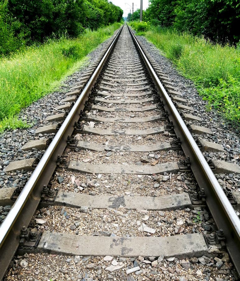 Long Railway Tracks Go into the Distance Stock Image - Image of gray ...