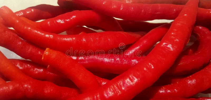 Long red chili stock image. Image of eating, cooking - 281080539