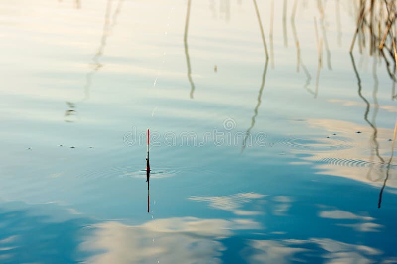 Long Red Fishing Float on the Surface of the Water Stock Image - Image ...