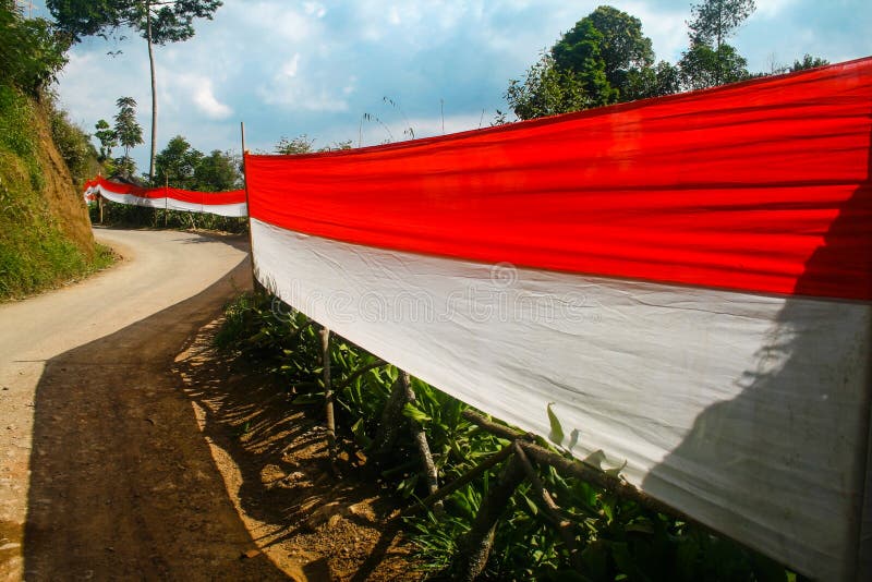 The Long Flag stock photo. Image of long, flower, leaf - 224266028