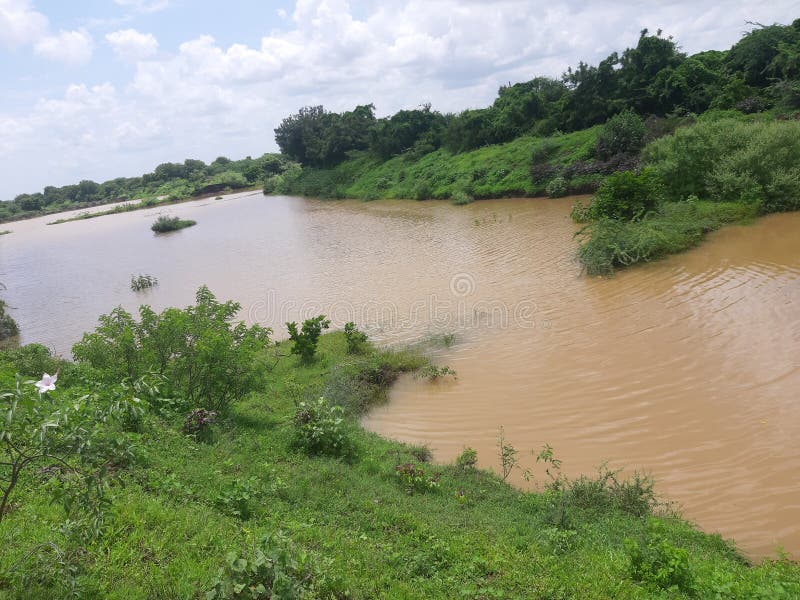 Long the river stock photo. Image of soil, wetland, fishpond - 192420884