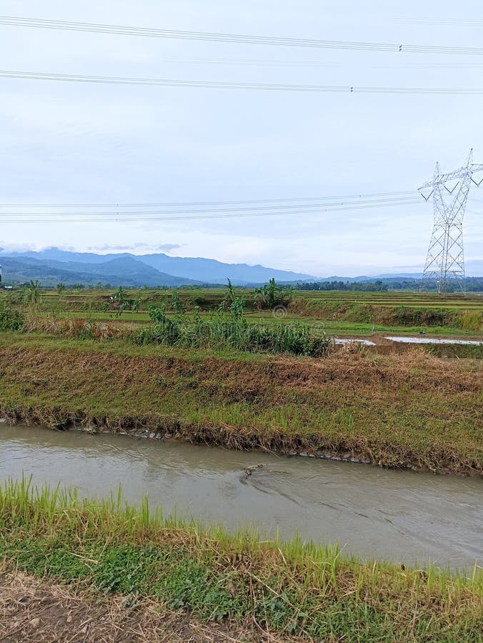 Long river in my way stock photo. Image of hill, landscape - 262151118