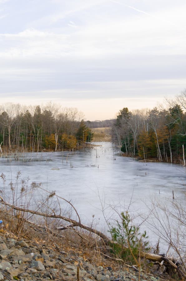 A Long River Path with Trees Stock Photo - Image of scene, beauty ...