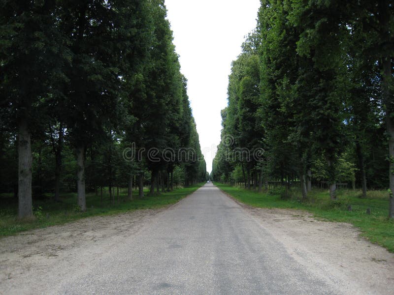 Long Road As Far As the Eye Can See with Trees on Either End Stock ...