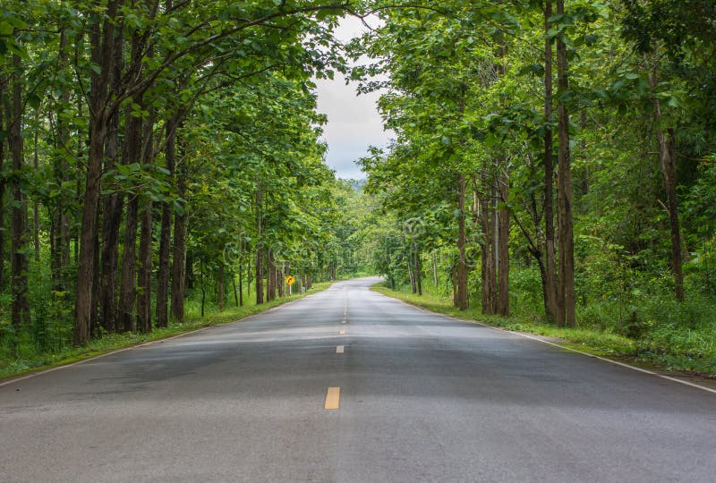 Curving Hill Under Blue Sky Stock Image - Image of copy, beautiful ...