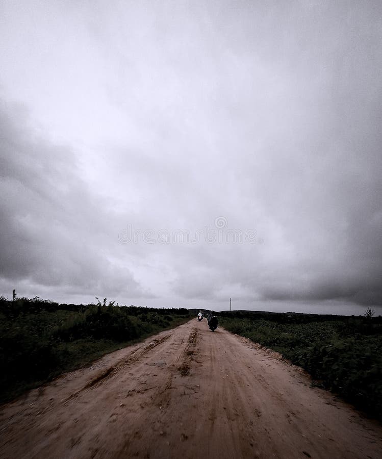 A Long Road Cut through the Meadows Stock Image - Image of tree, field ...