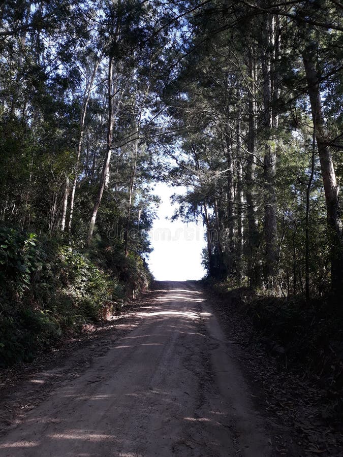 A long road stock photo. Image of middle, nature, long - 139456954