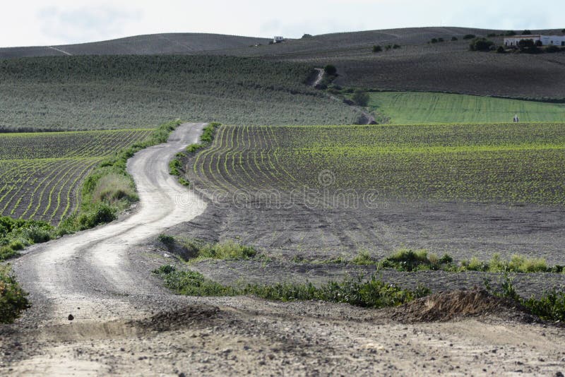 Long road stock photo. Image of beautiful, scenic, field - 90394212