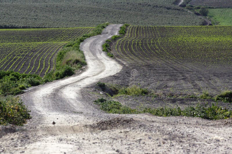 Long road stock photo. Image of line, sunset, beautiful - 90394256