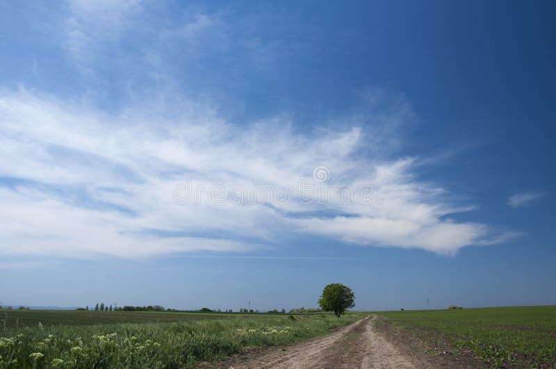 The long road stock image. Image of long, freedom, asphalt - 83949375