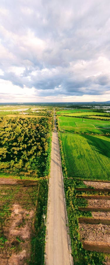 A Long Road in the Midst of Rice Fields Stock Image - Image of road ...