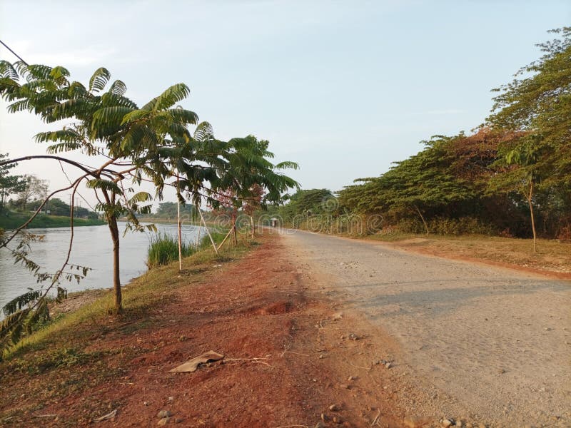 Long Road on the River Side Stock Photo - Image of trees, long: 332104352