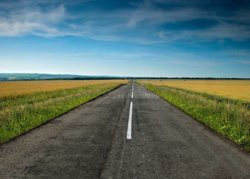 Long Road Stretching Out into the Wheat Fields Stock Photo - Image of ...