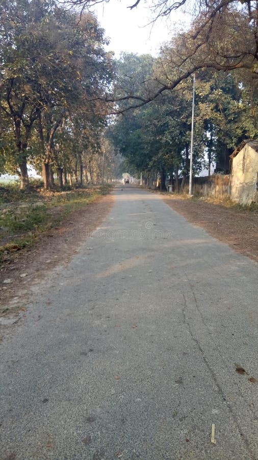 Long Road Surrounded by Trees Stock Photo - Image of long, surrounded ...