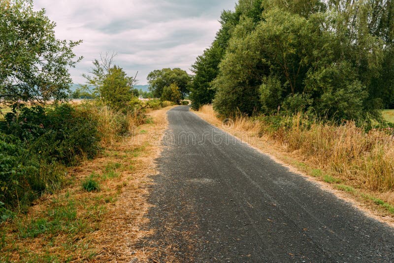 Long Road with Trees and Grass by it Sides. Stock Image - Image of ...