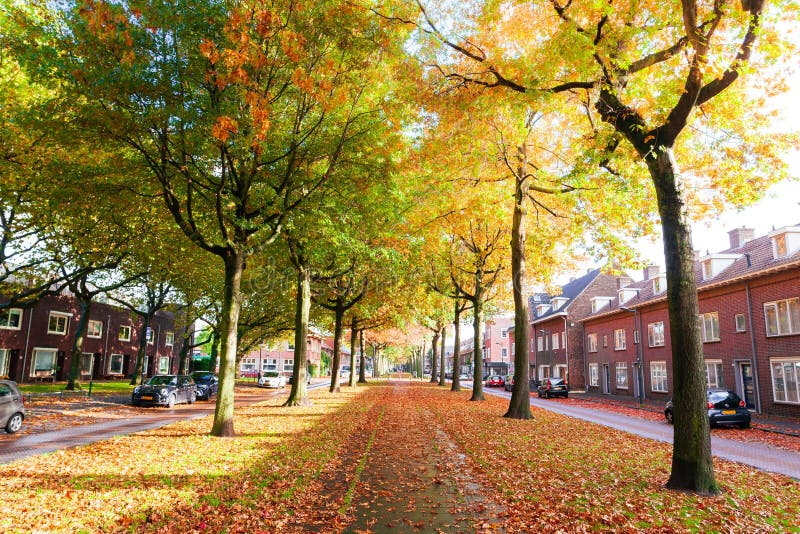 Long Road through a Village with Trees on Both Sides Editorial Stock ...