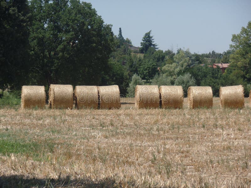 Round Bales of Hay on the Grass Stock Photo - Image of manual, farm ...