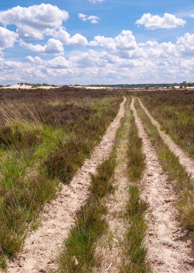 Long Sandy Path in a Rural Landscape Stock Photo - Image of fields ...