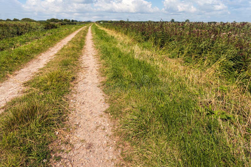 Long Sandy Path Wheel Tracks Dutch Landscape Stock Photos - Free ...