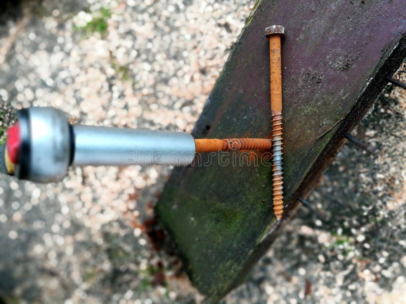 Long screws with tool stock photo. Image of screws, screwdriver - 99416090