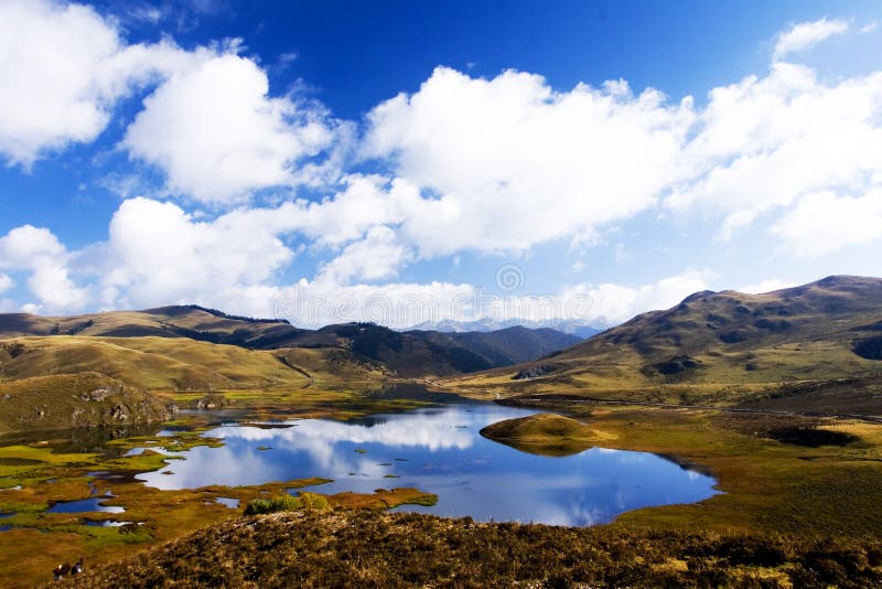 Long sea stock image. Image of tree, lake, grass, cloud - 3809577
