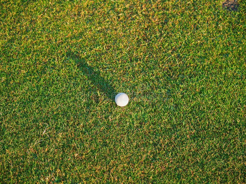 Long Shadow on Golf-ball on Green Grass at Sunrise Stock Image - Image ...