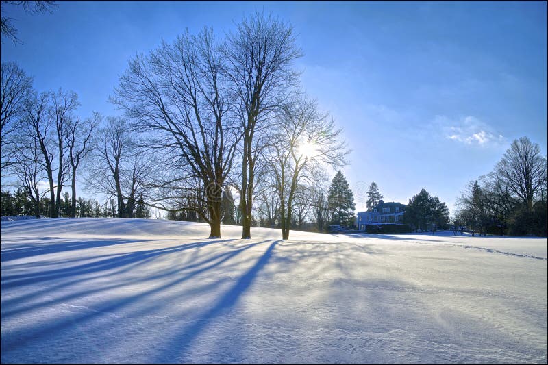 The Long Shadow of the Maple Tree in Winter Stock Photo - Image of ...