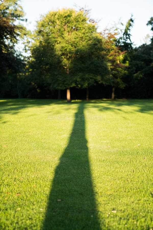 Long Shadow of Tree Across Green Lawn. Stock Image - Image of scenic ...