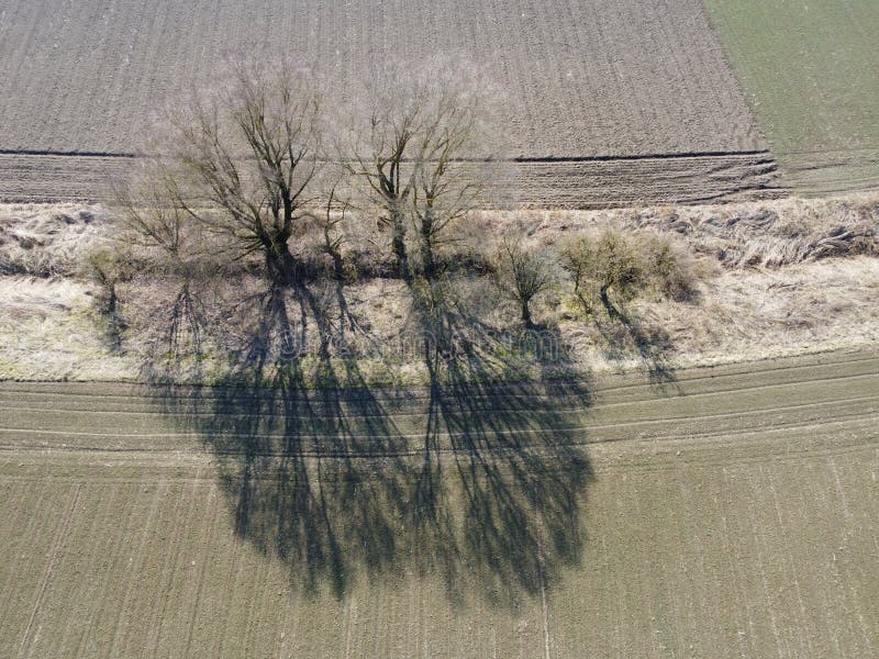 Long Shadows from Avenue Deciduous Trees at Springtime in Bavaria Stock ...
