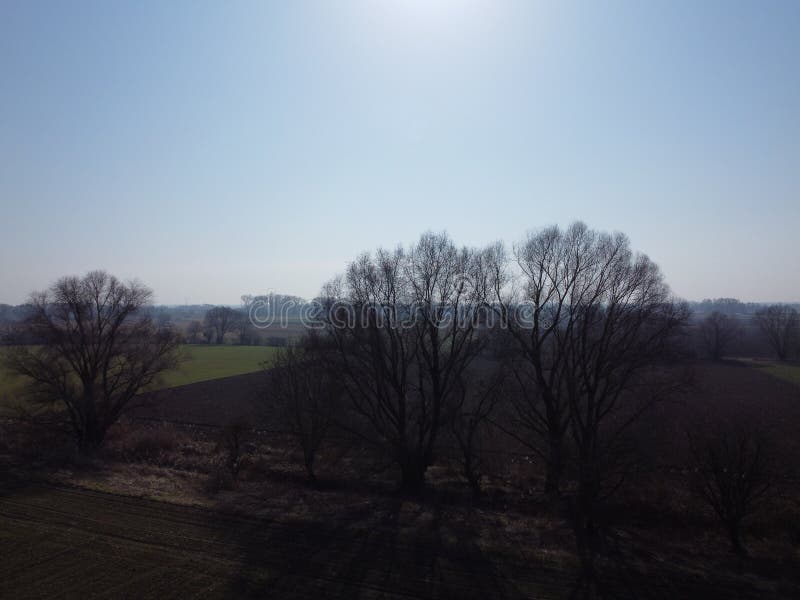 Long Shadows from Avenue Deciduous Trees at Springtime in Bavaria Stock ...