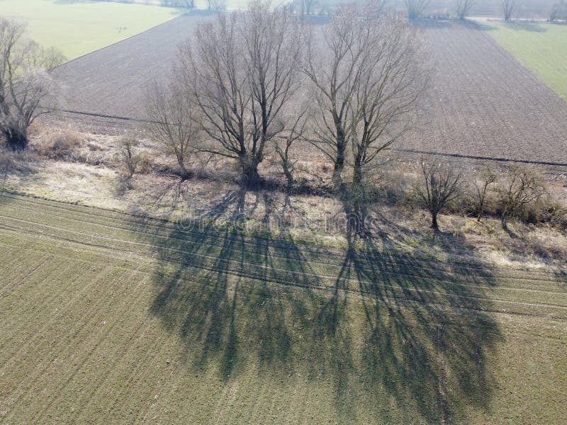 Long Shadows from Avenue Deciduous Trees at Springtime in Bavaria Stock ...