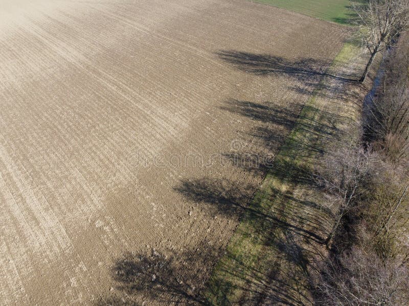 Long Shadows from Avenue Deciduous Trees at Springtime in Bavaria Stock ...