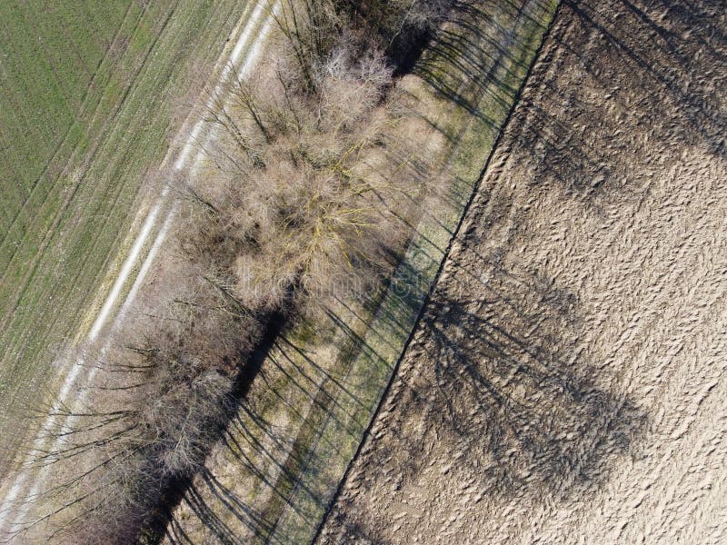 Long Shadows from Avenue Deciduous Trees at Springtime in Bavaria Stock ...