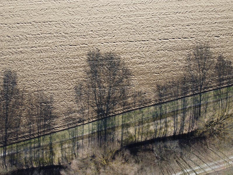Long Shadows from Avenue Deciduous Trees at Springtime in Bavaria Stock ...