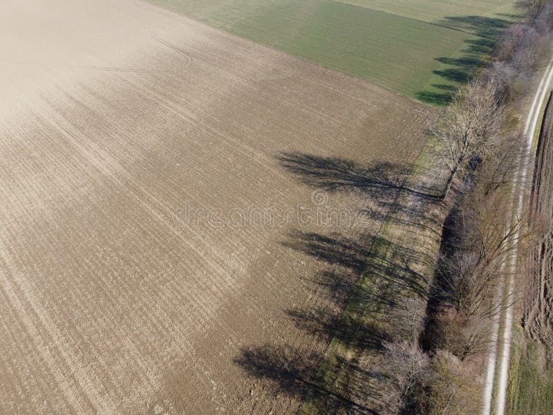 Long Shadows from Avenue Deciduous Trees at Springtime in Bavaria Stock ...