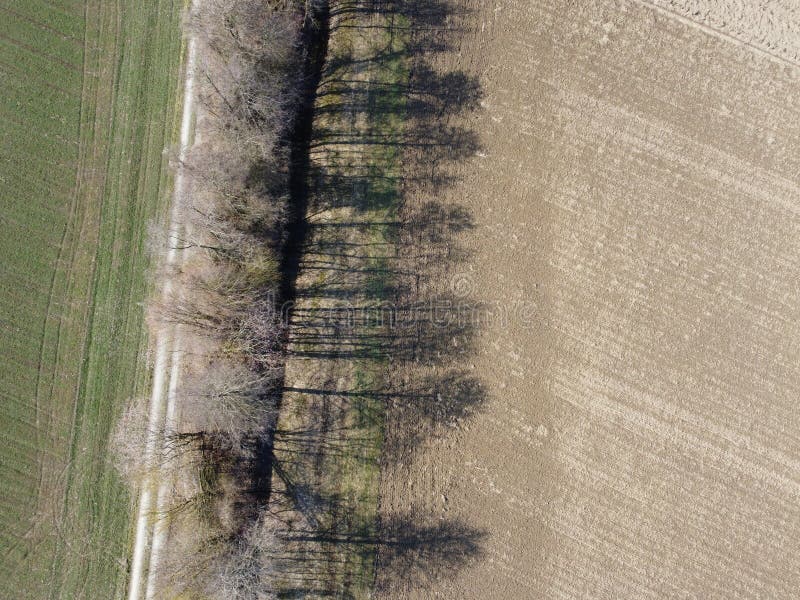 Long Shadows from Avenue Deciduous Trees at Springtime in Bavaria Stock ...