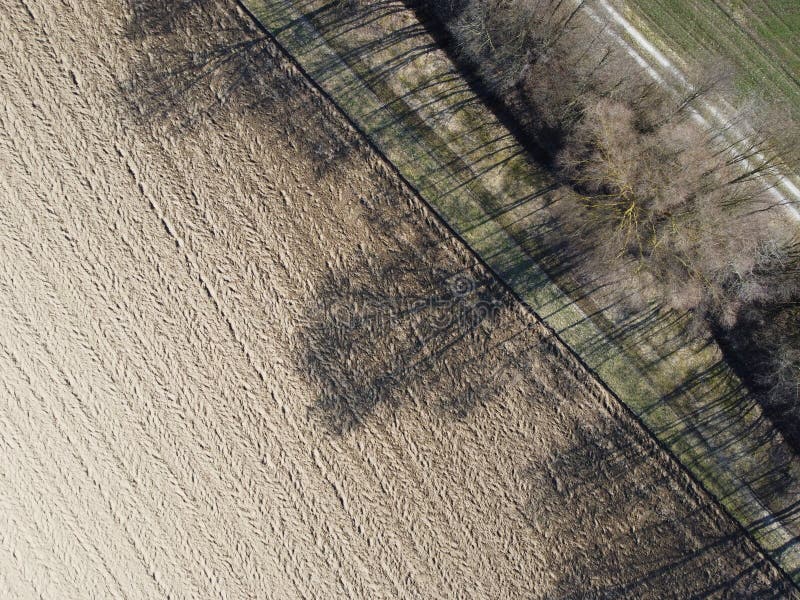 Long Shadows from Avenue Deciduous Trees at Springtime in Bavaria Stock ...